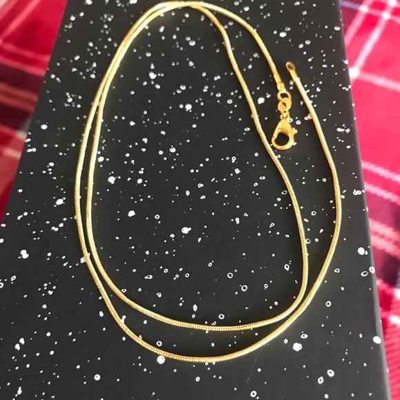 Jewelry | Gold Snake Chain Necklace 24 | Poshmark